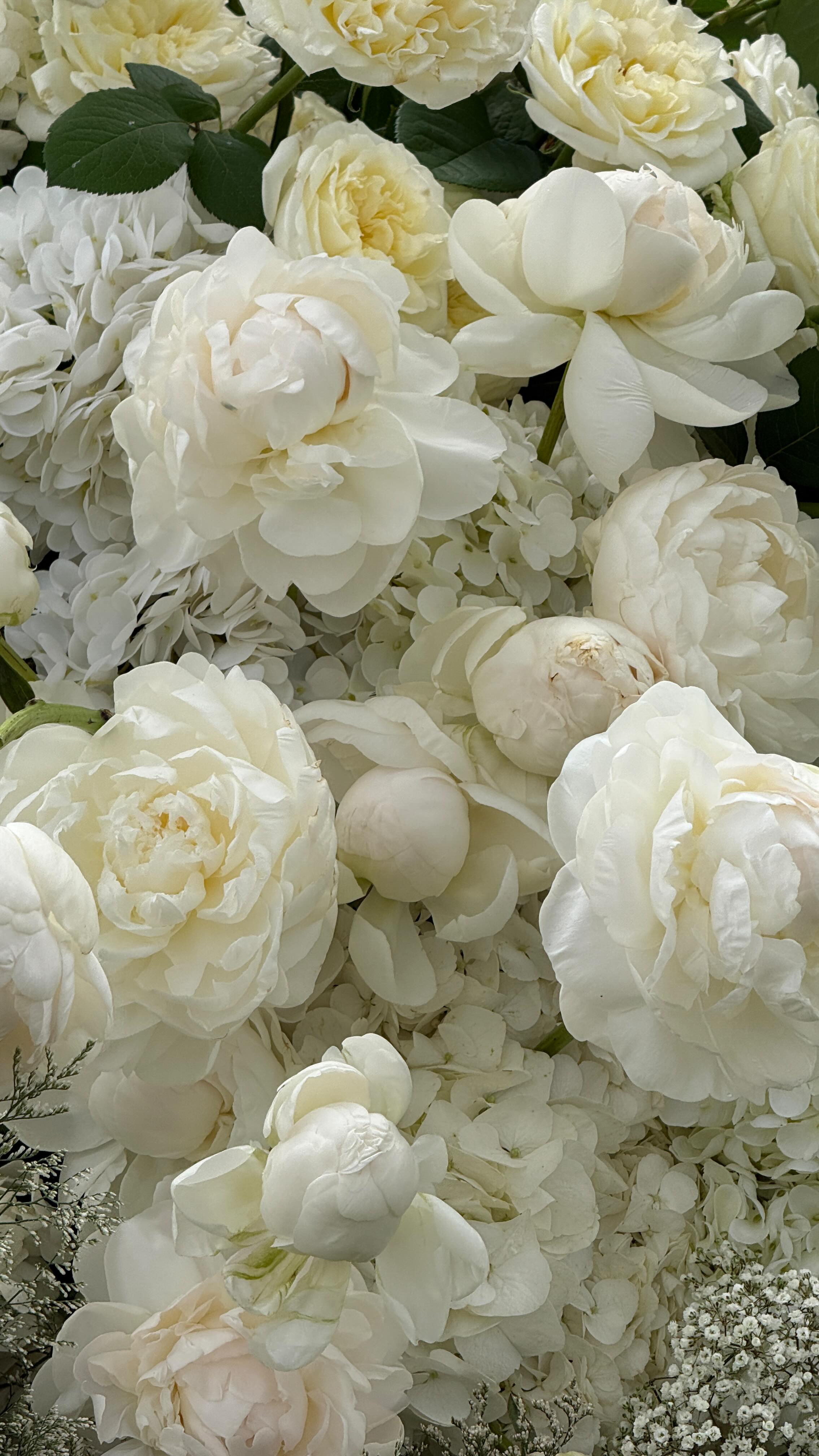 Behind the scenes of Chloe & Brandon’s wedding – Flowers Gold Coast