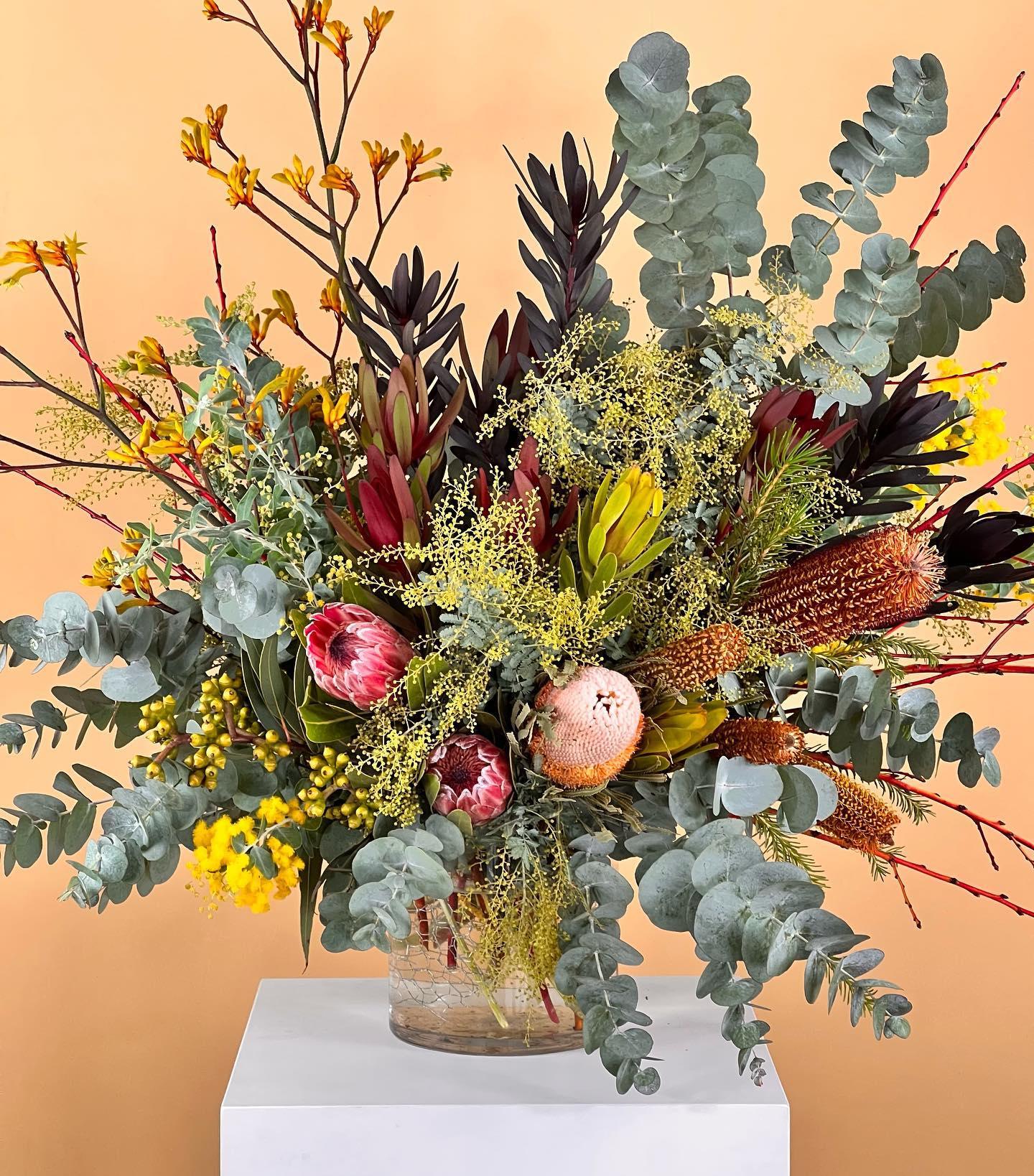 W I L D A curated design filled with colourful Natives and Botanicals ...